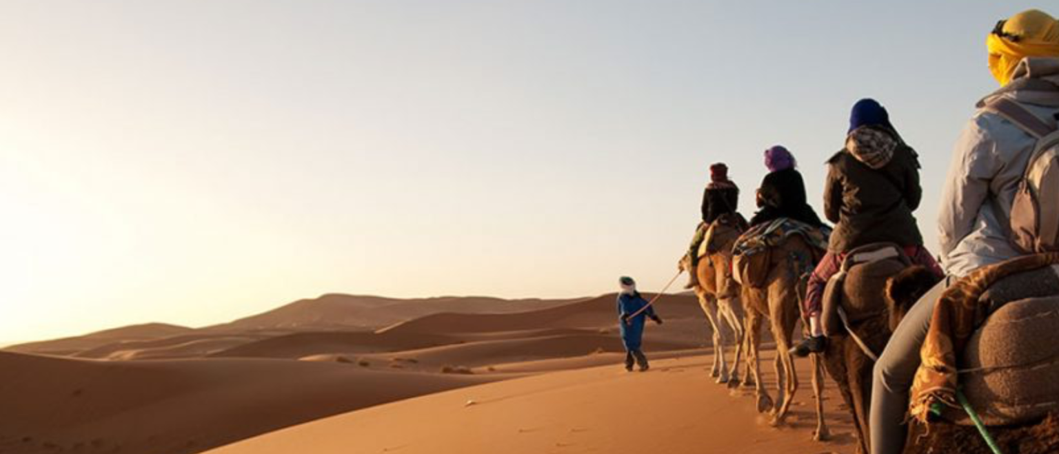 Ripcord | Adventure & Remote Travel Insurance | Redpoint Protection